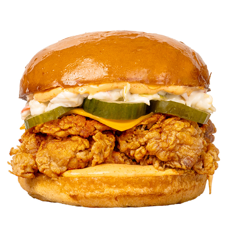 Cardiac Cruncher - Anatummy